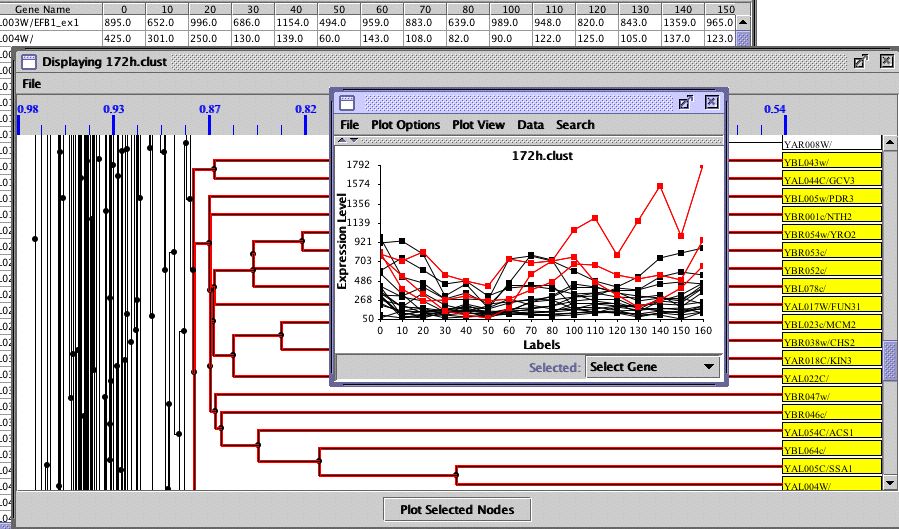 Teaching Genomics - MAGIC Tool